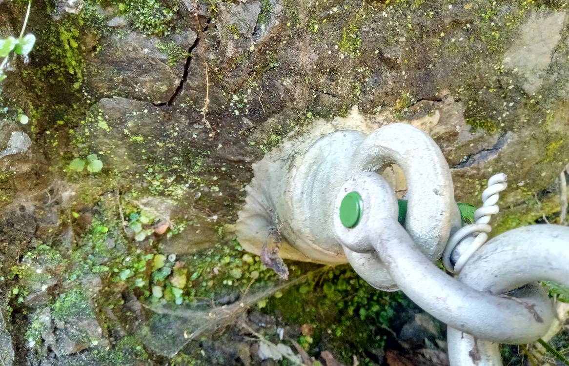 TE POUREWA SWING BRIDGE, TE UREWERAS - EDC