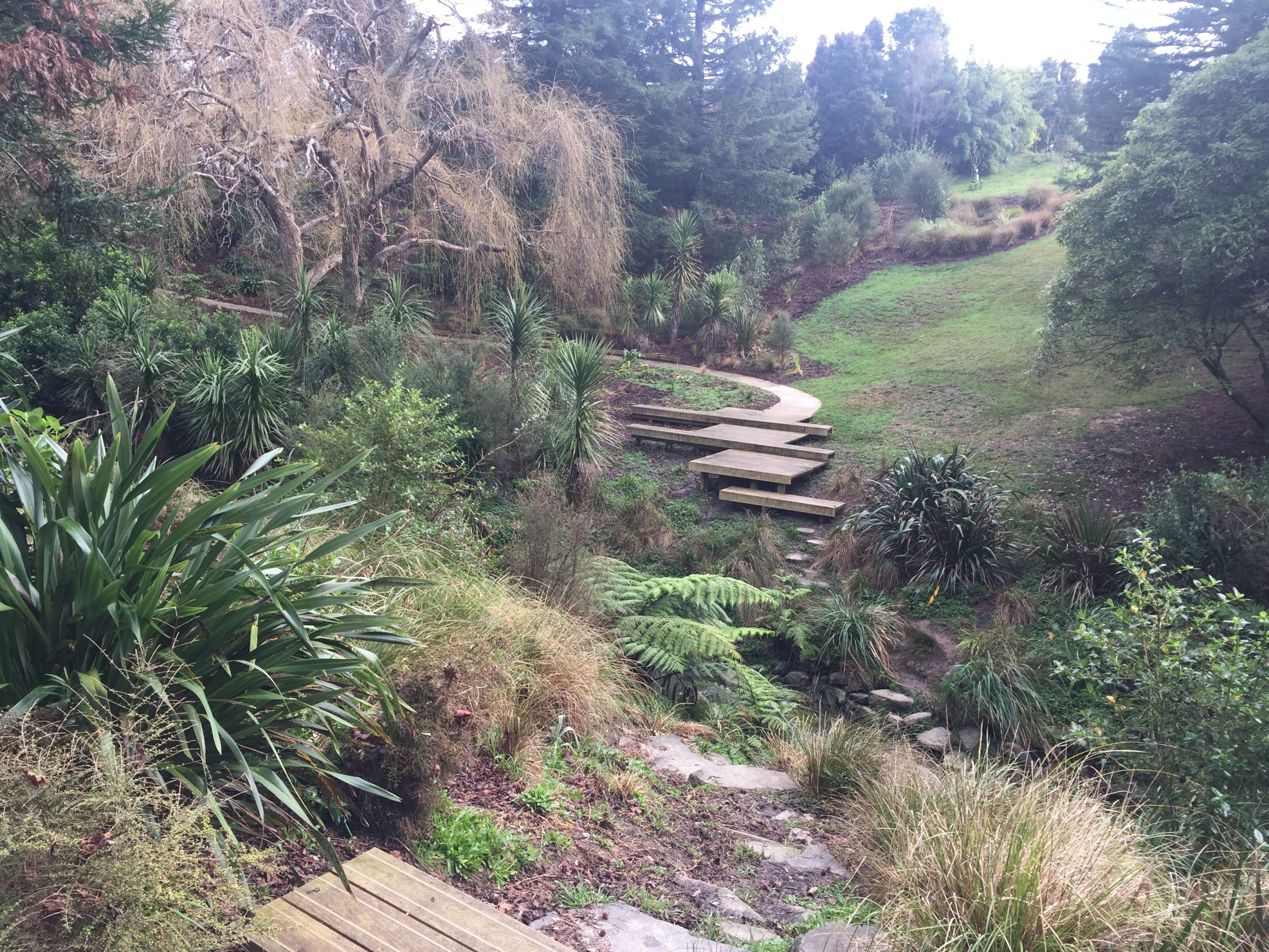 WESTMERE, AUCKLAND - EDC