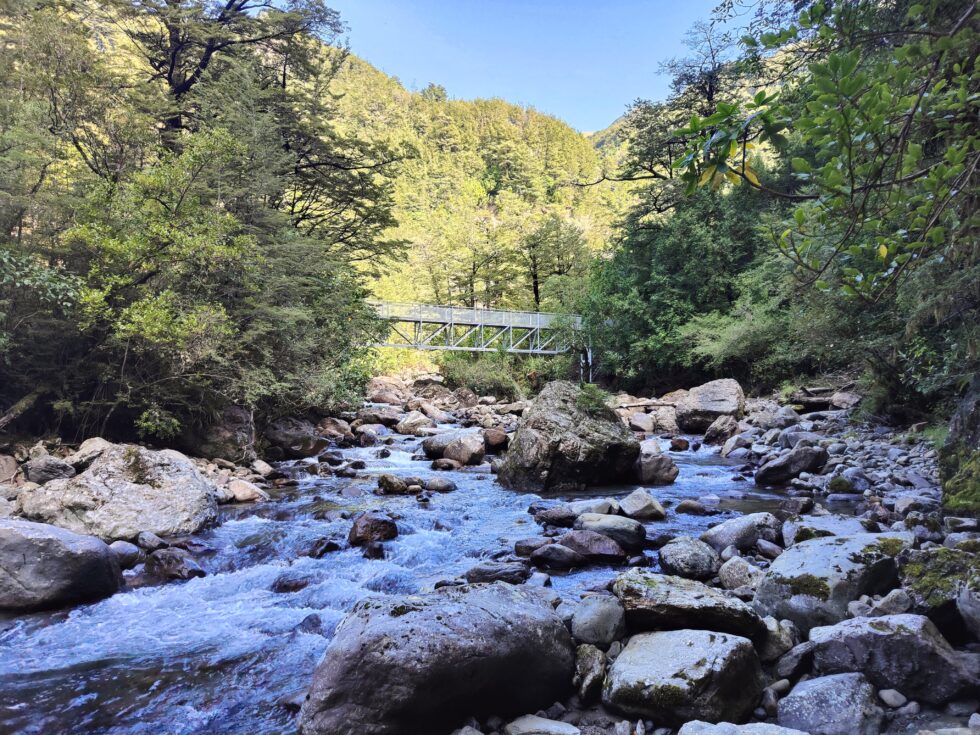 Opening of the Sharplin Falls Walkway - EDC